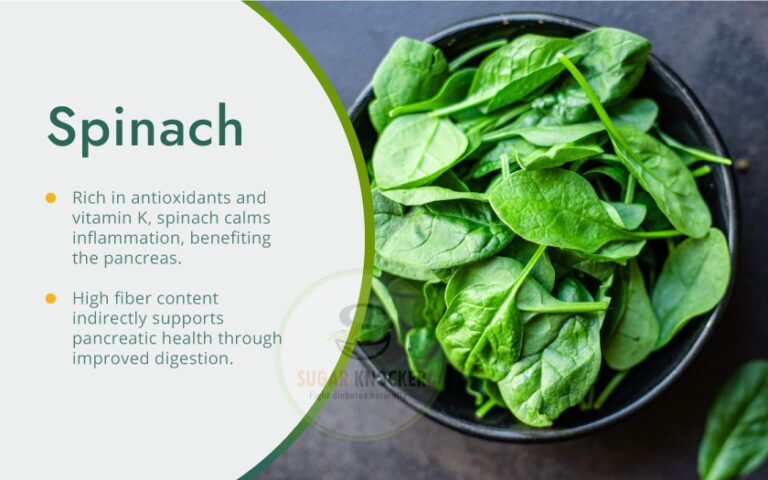 Essential Guide to a Pancreatitis Diet: Foods to Eat & Avoid