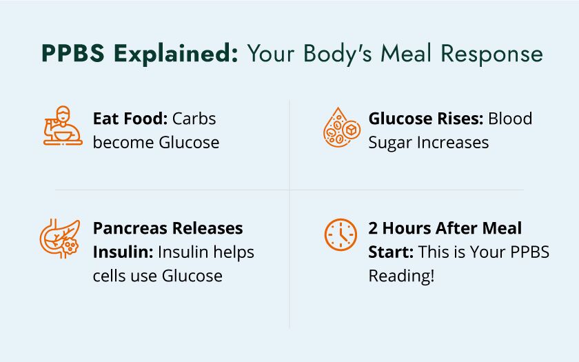 Why Post-Prandial Blood Sugar (PPBS) is Key to Diabetes Control - Home ...